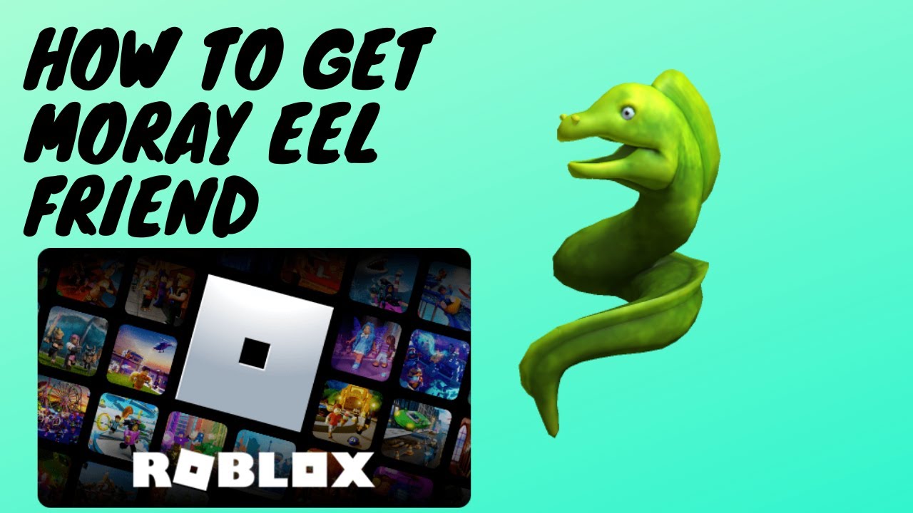 How To Get Moray Eel Friend In Roblox Youtube