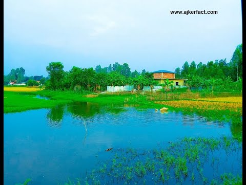 Natural Green Garden Location Video,4k, All Nice Place Video , - YouTube