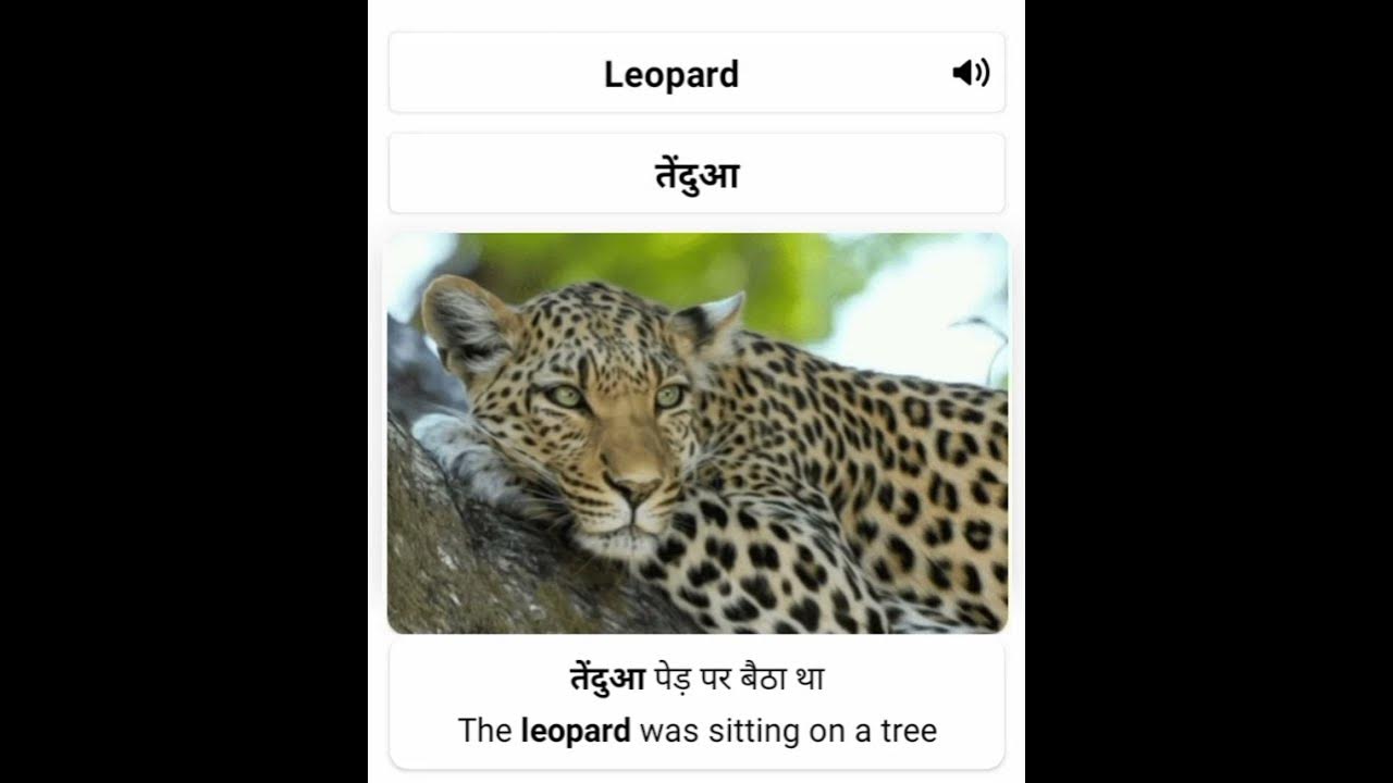 Leopard Meaning In Hindi Visual Meaning Word Meaning leopard-meaning-in-hindi-visual-meaning-word-meaning
