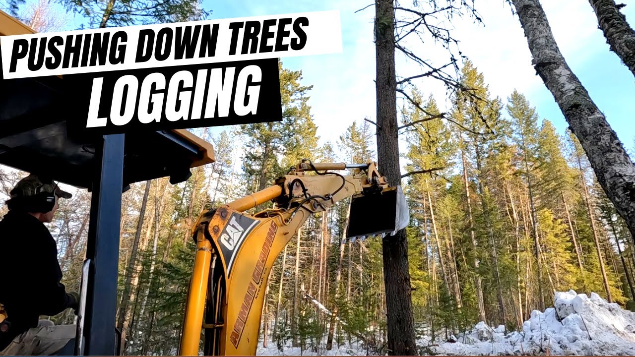 Using Heavy Equipment To Log Property // Using Backhoe To Log Land ...