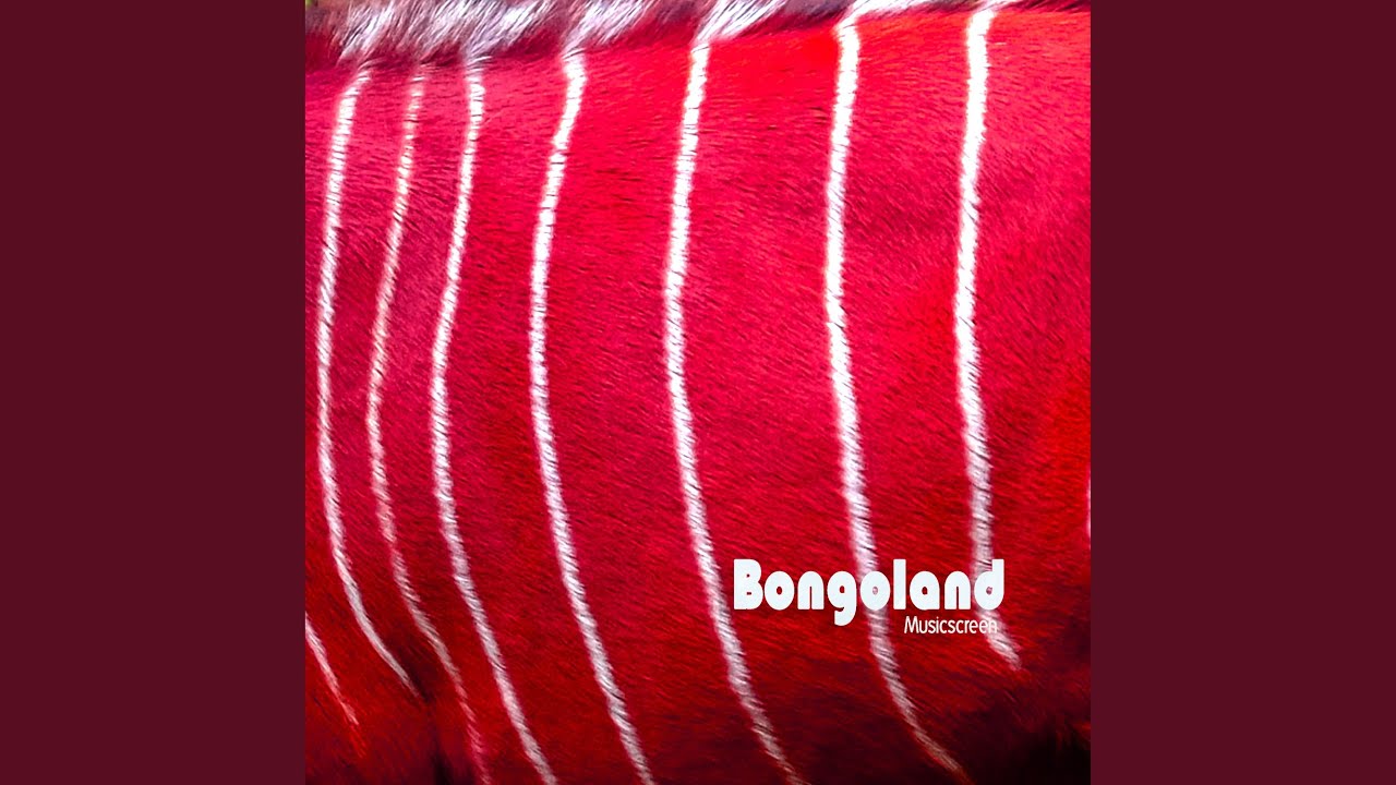 Bongoland - YouTube