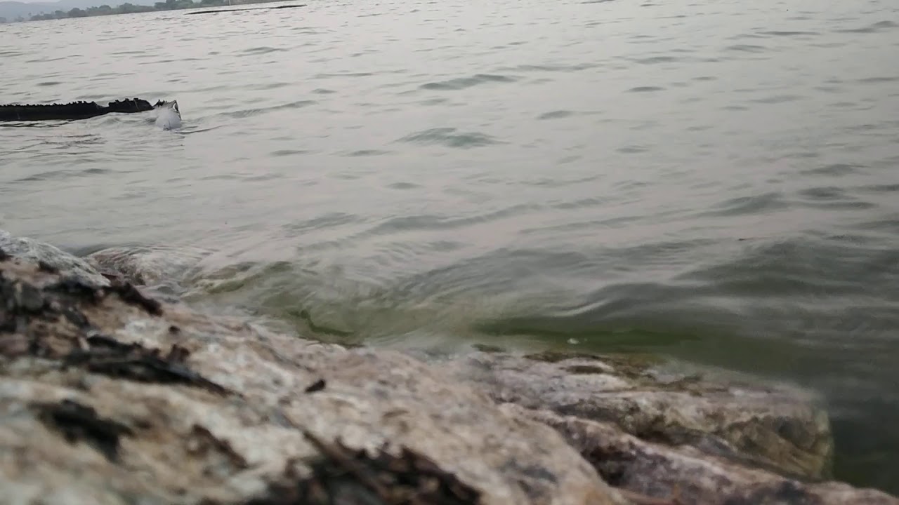 REAL WATER SOUND (NATURE) - YouTube