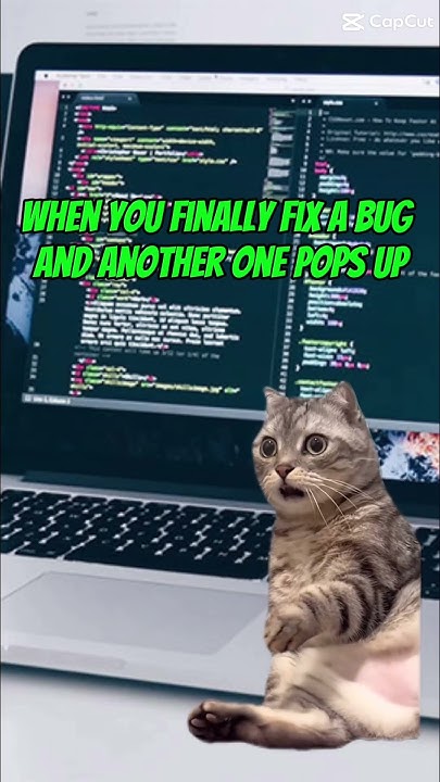 When you finally fix a bug and another one pops up! #codinglife #funny #comedyshorts #memes # ...