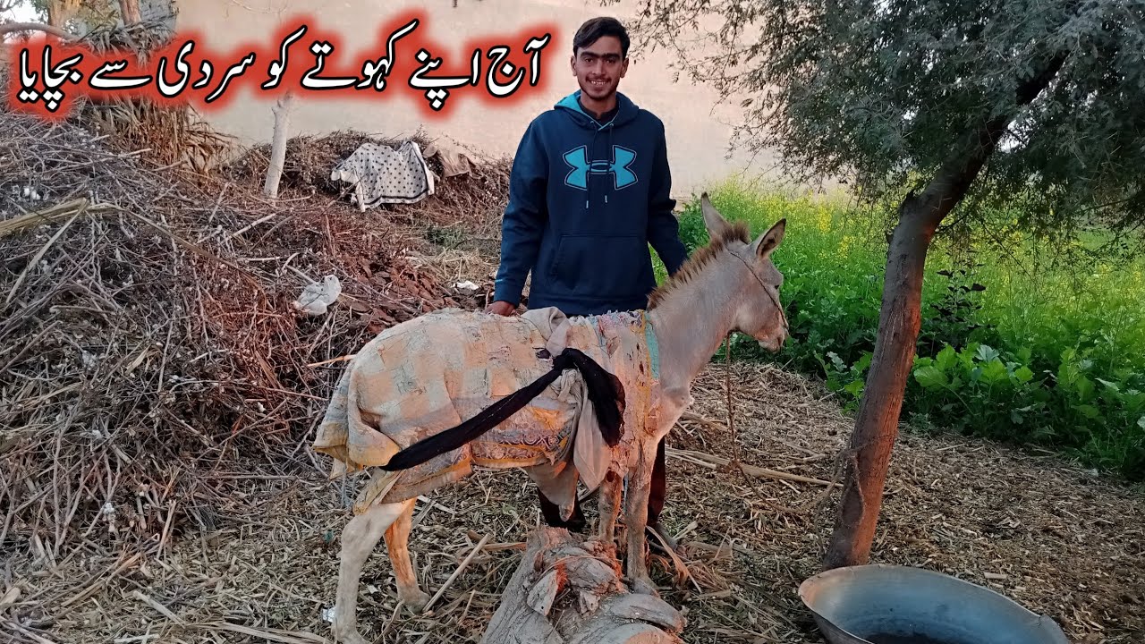 Aj Apny Khoty Ko Serdii Se Bachaya / Danish Khan Vlogs - YouTube