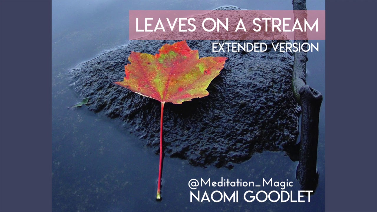Leaves On A Stream Mindfulness Practice - Extended Version - YouTube