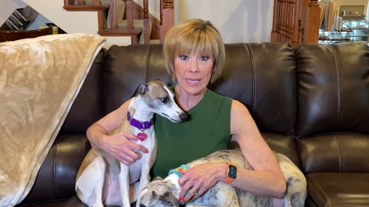 Fabulous Fur Babies - Separation Anxiety - YouTube