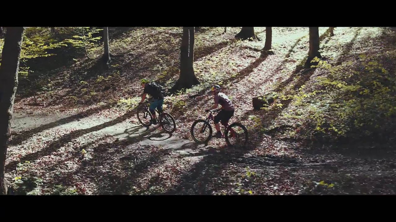 Primal and Primal+ - YouTube