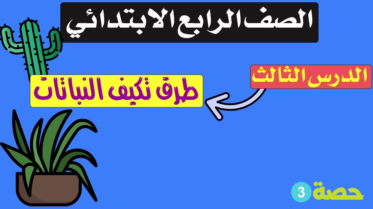 درس طرق تكيف النباتات علوم الصف الرابع Youtube