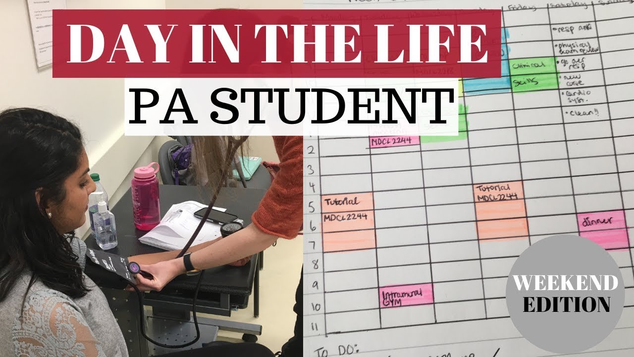 A day in the Life of a PA Student | Weekend Edition - YouTube