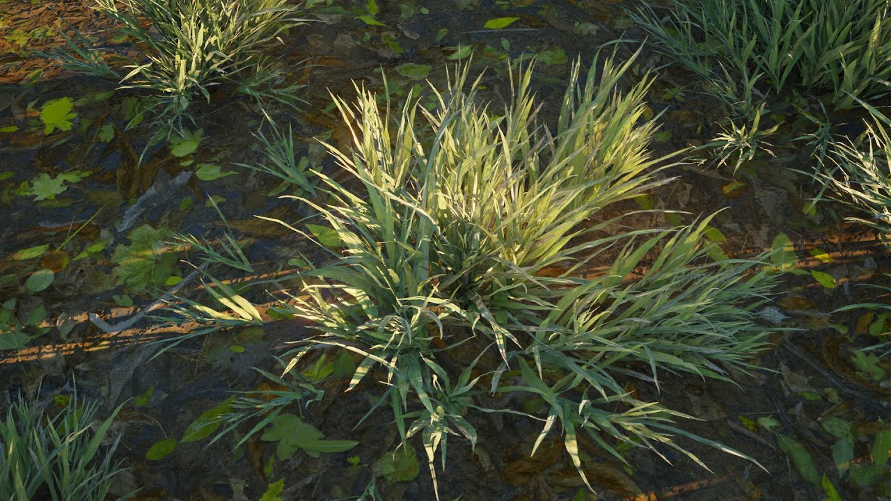 Tree node test 2 - Creating a field of grass - YouTube