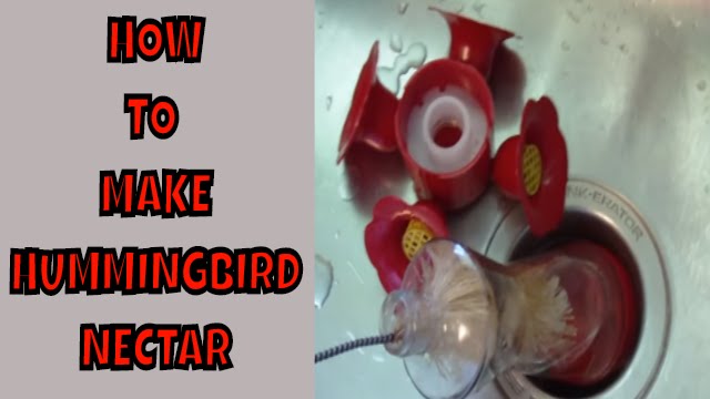 How to make Hummingbird Nectar - Homemade Hummingbird Sugar Water ...