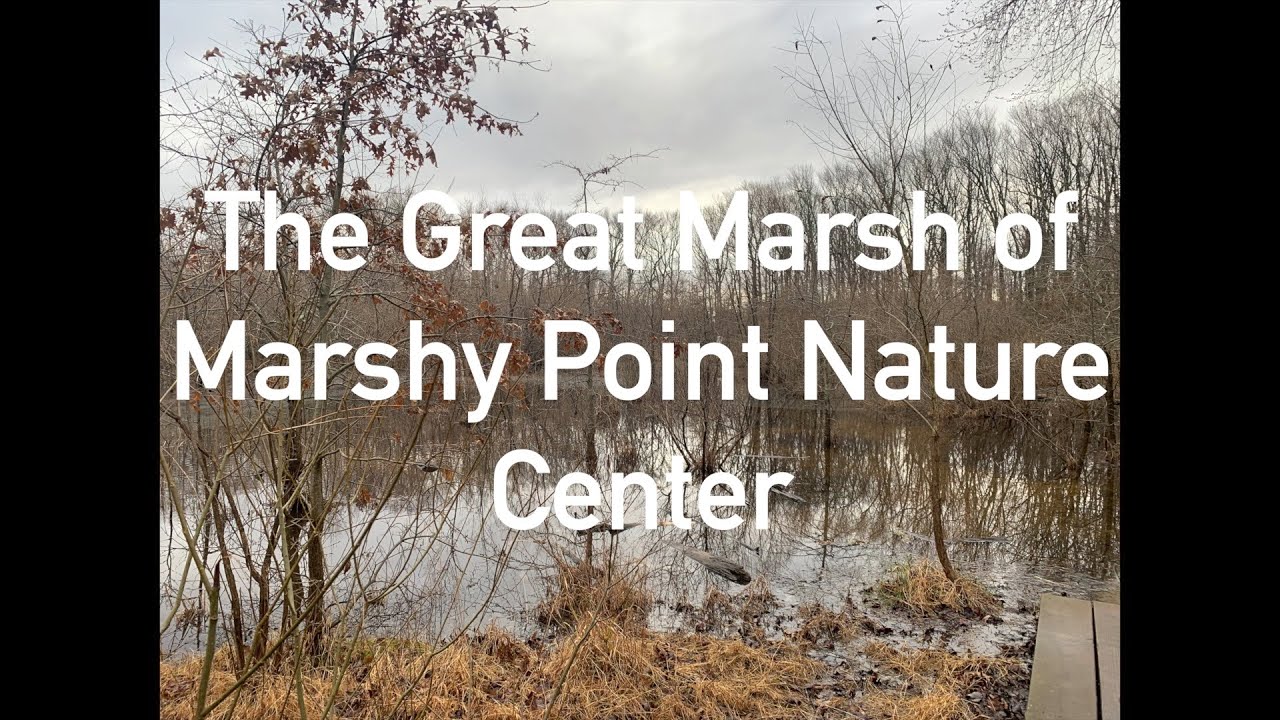 The Great Marsh Of Marshy Point Nature Center - YouTube