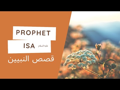 Qisas un Nabiyeen | Vol 4 | Isa عليه السلام | Ch. 13 to 23 | Maaidah