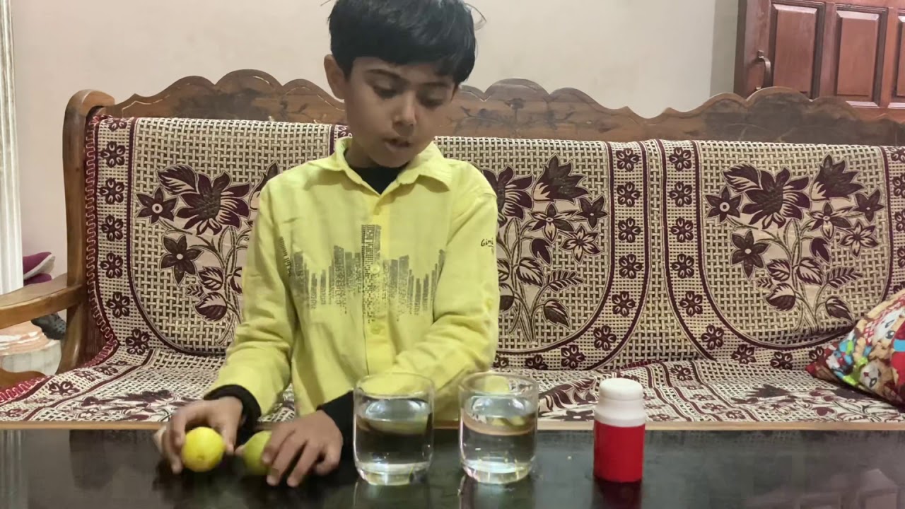 Lemon experiment for kids, Density experiment, Float and sink ...