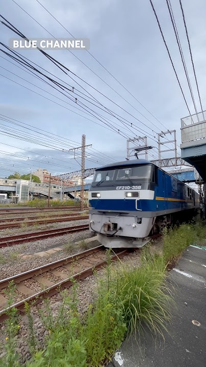 (貨物列車) 2024/10/16 2059レ EF210-358 + コキ20B カンガルーライナーSS60 (陸前山王〜吹田タ) #Shorts - YouTube