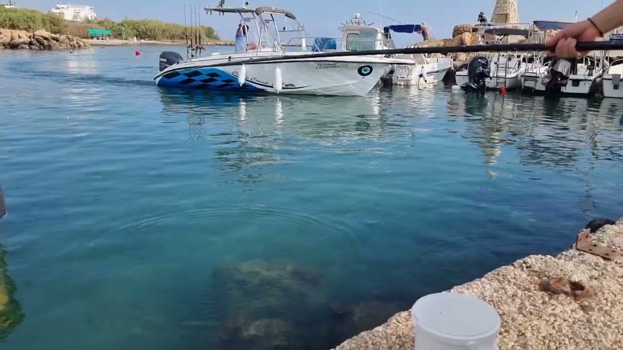 Ψαρεμα κεφαλων ΑΠΙΚΟ με δολωμα αλευρι,τυρι και σκορδο. - YouTube
