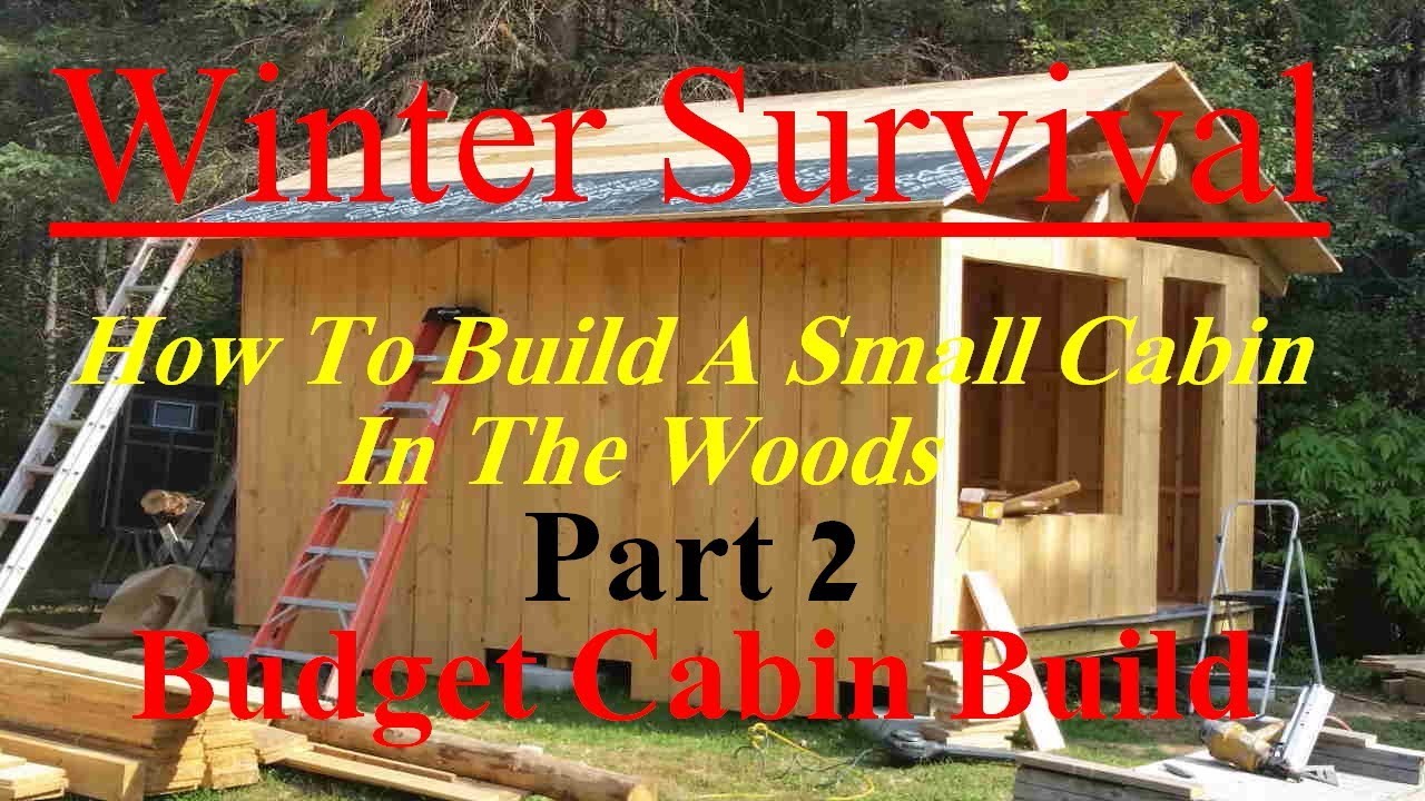 How To Build A Cabin In The Woods Pt 2 (Survival Winter Tips) - YouTube