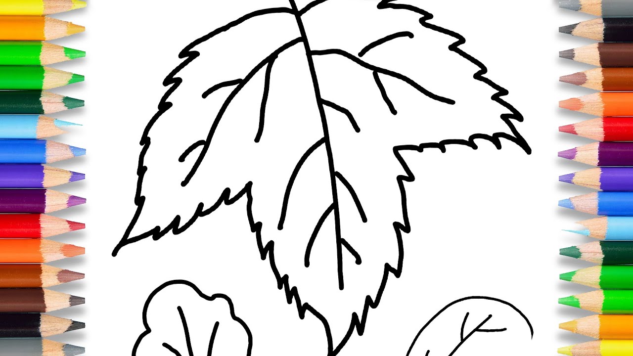 Draw leaves shape, Learn Drawing Leaves For Kids, Kids Art, 01, kids ...