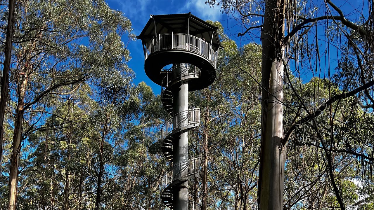 Otway tree top walk | Melbourne travel vlogs | Australia travel vlogs ...