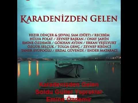 Soldu Güller Yapraklar - Emine Özdemir