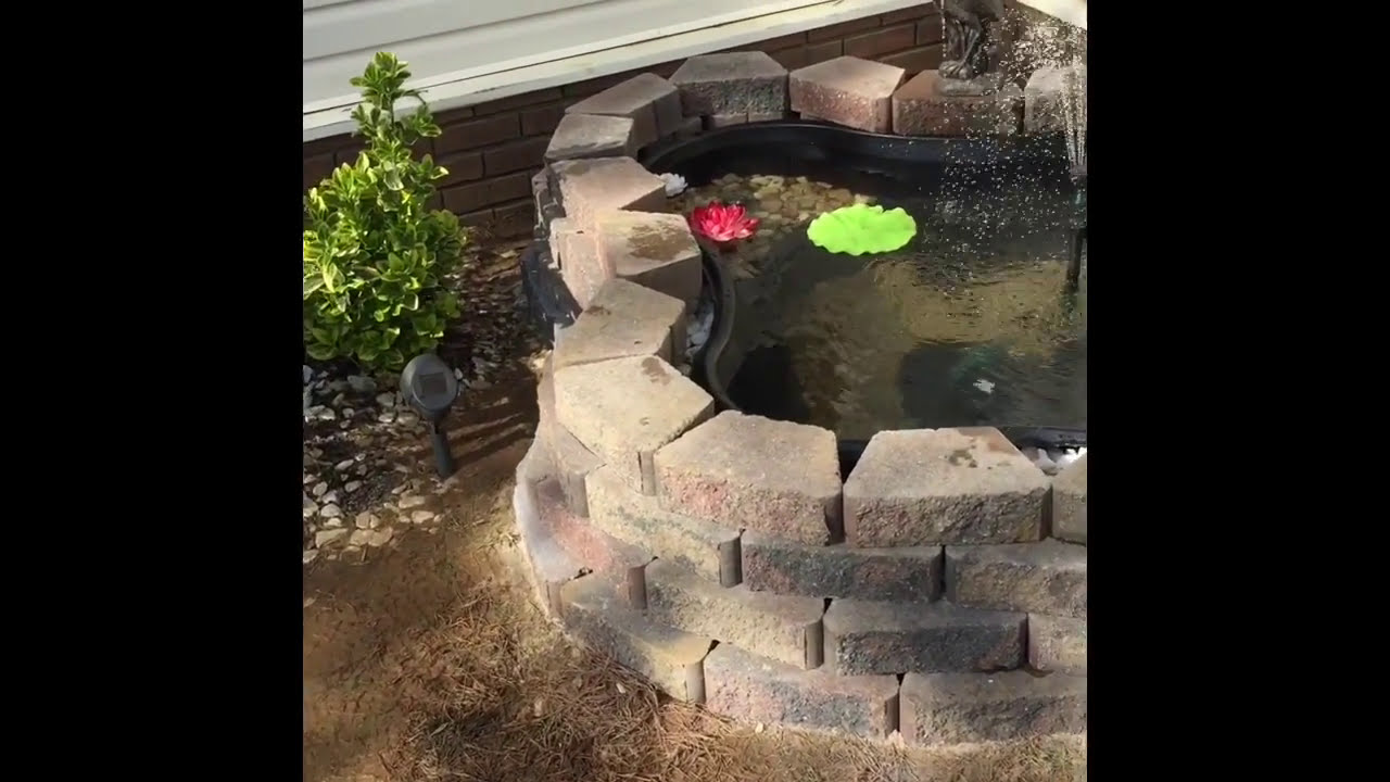 Half in ground half above ground 150 gallon koi fish pond - YouTube