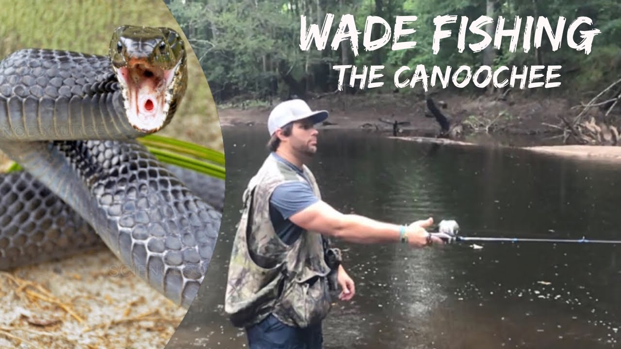 Catch, Clean, Cook River Panfish (Part 1) - YouTube