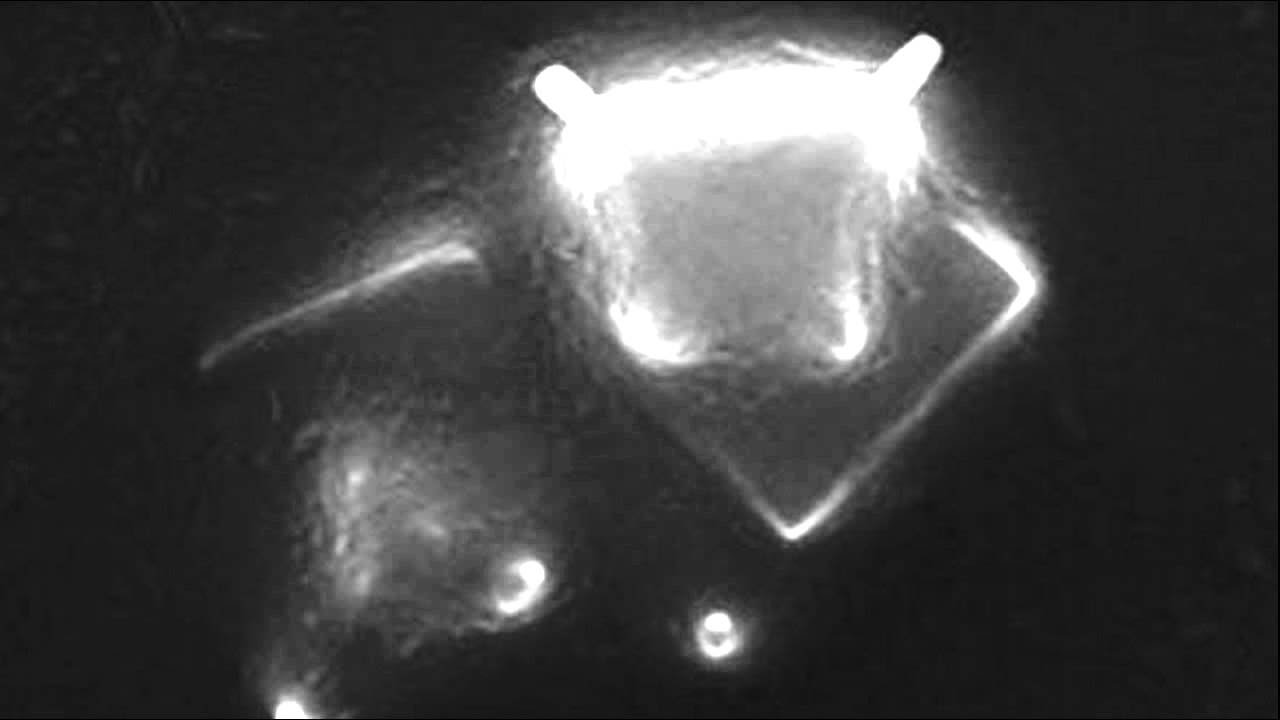 Scientist are finding ALIEN LIFE form in space Documentary 2016 - YouTube