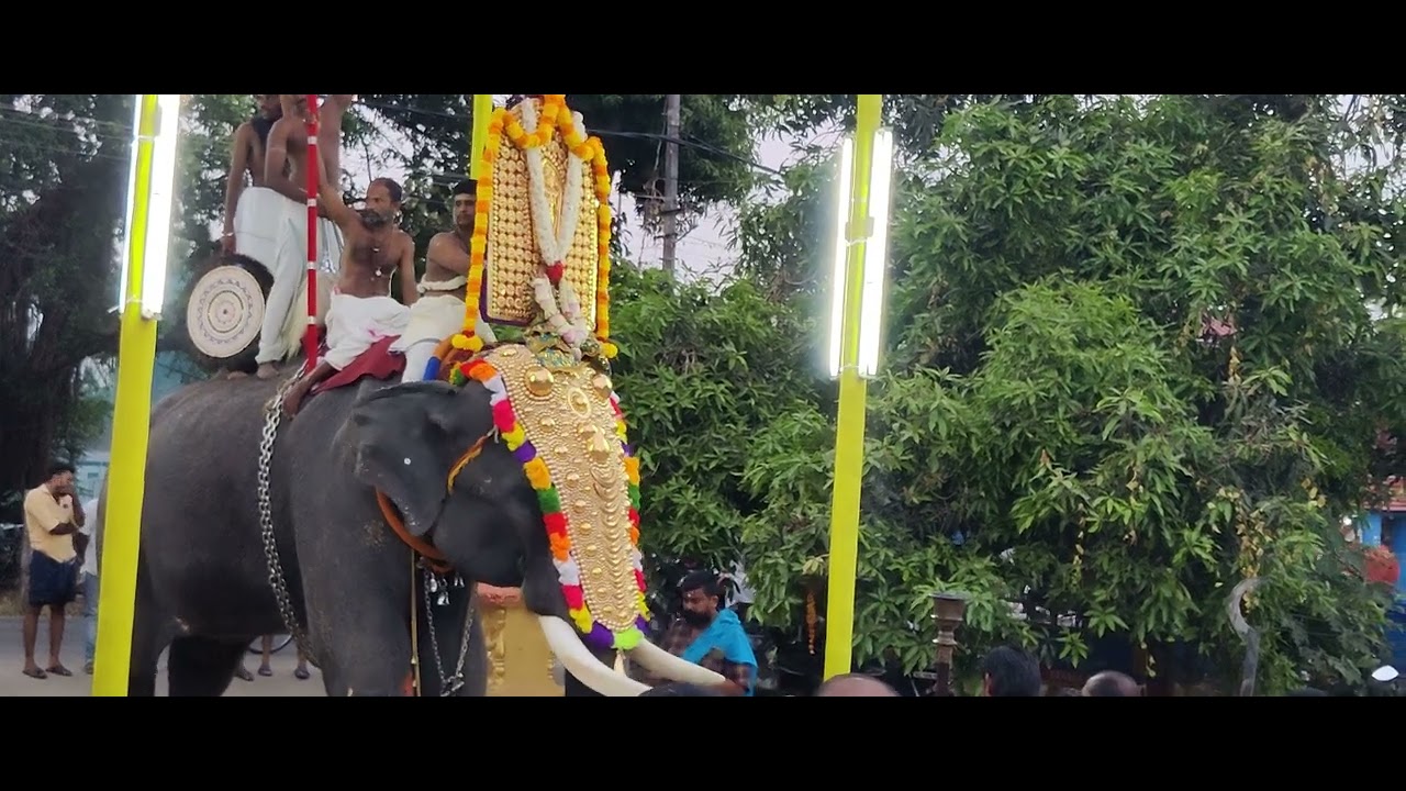 Cherai valiya veetil kunnu temple utsavam 2024 - YouTube