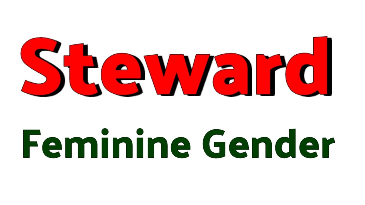 Steward ka feminine । Steward ka feminine gender । Steward ka feminine ...
