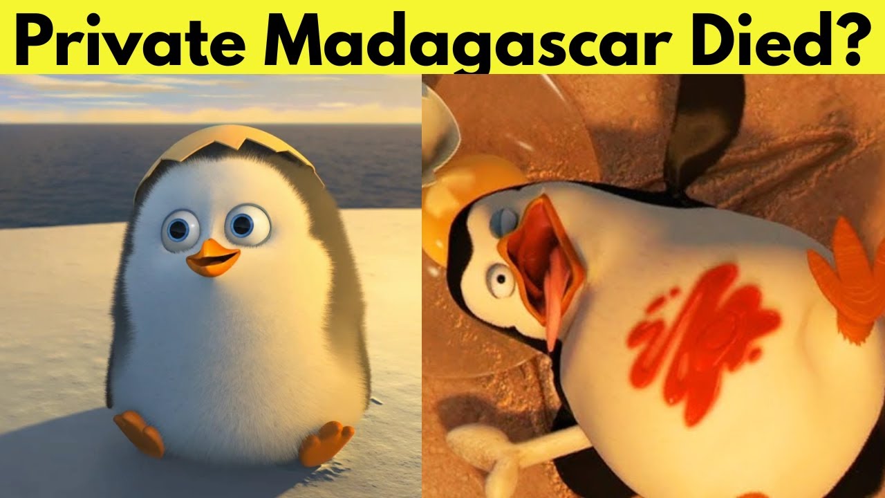 Did Private from Madagascar Really Die? The Truth Behind the Rumors ...