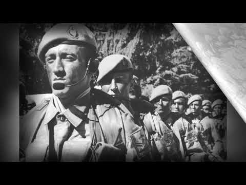 TSK KLİP 41 ''BOZKURTLAR''