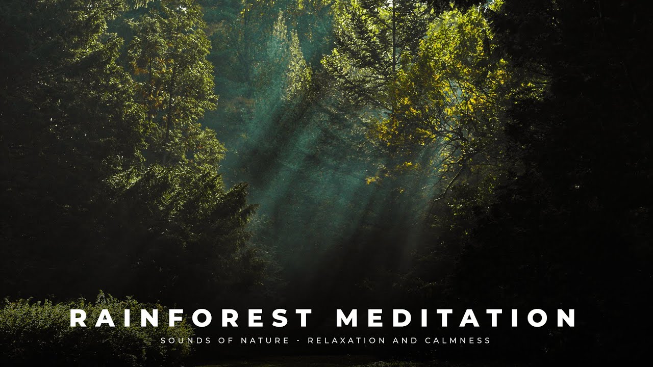 Peaceful Rainforest Meditation - Sounds of Nature - Relaxation and ...