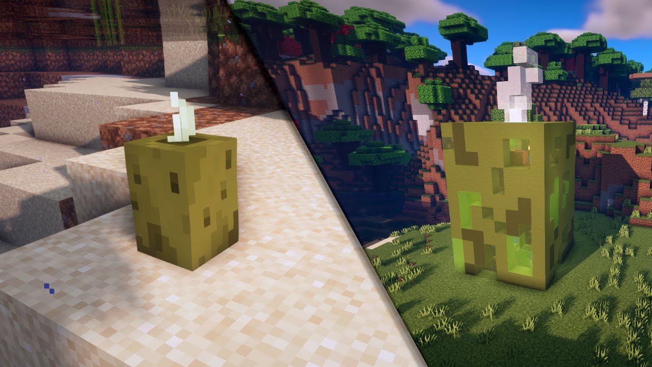 🌊🥒 SEA PICKLE HOUSE HOW TO BUILD 🧱8x8x12🧱 AND DECOR HACKS | EASY ...