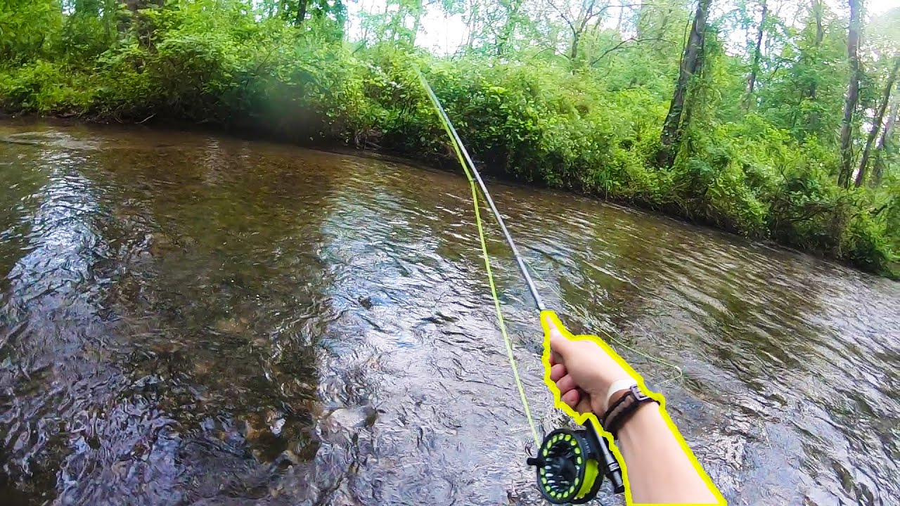 Fly Fishing PRACTICE on Two Local Streams - YouTube