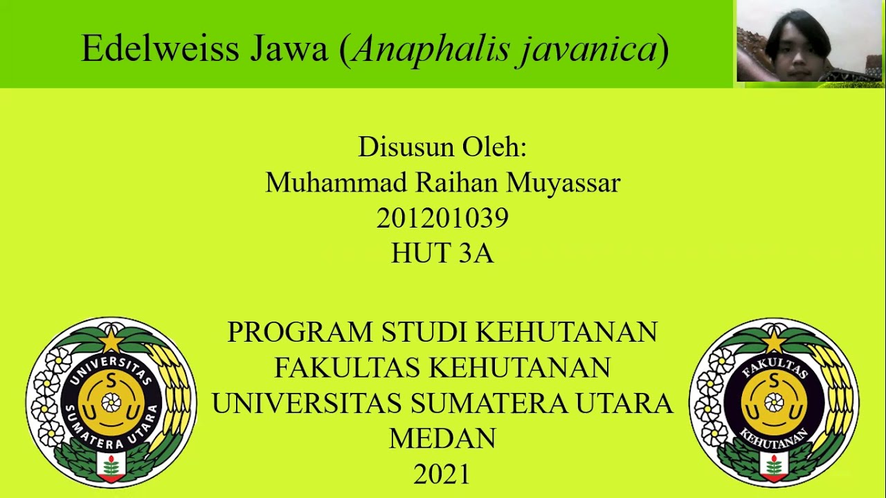 KONSERVASI SUMBER DAYA ALAM HAYATI: TUMBUHAN LANGKA EDELWEISS JAWA ...