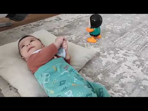 Dans eden penguen ile ilk tanışması