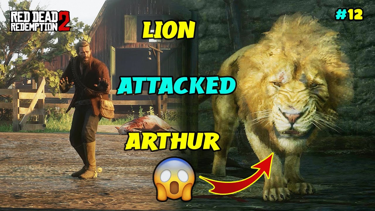 It's Very Difficult To Kill This Lion | RDR 2 Lion Location ? - YouTube