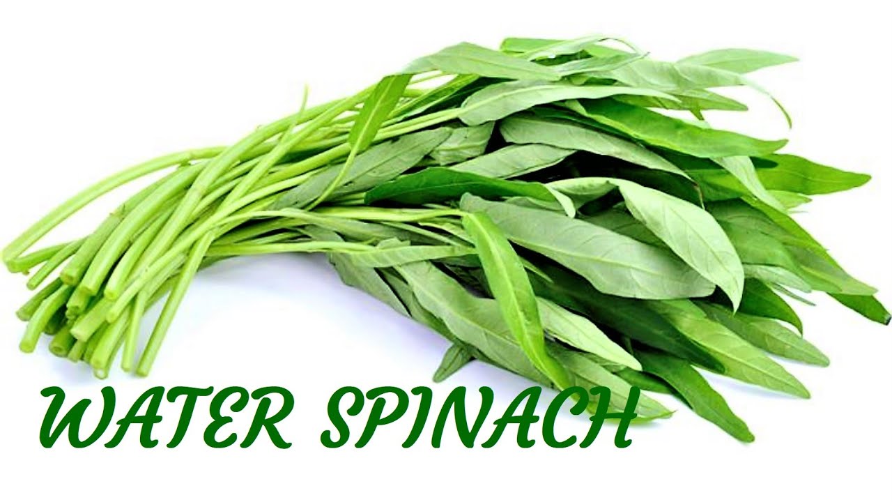 Garlic Water Spinach | How to Cook Chinese Greens with Garlic | Stir ...