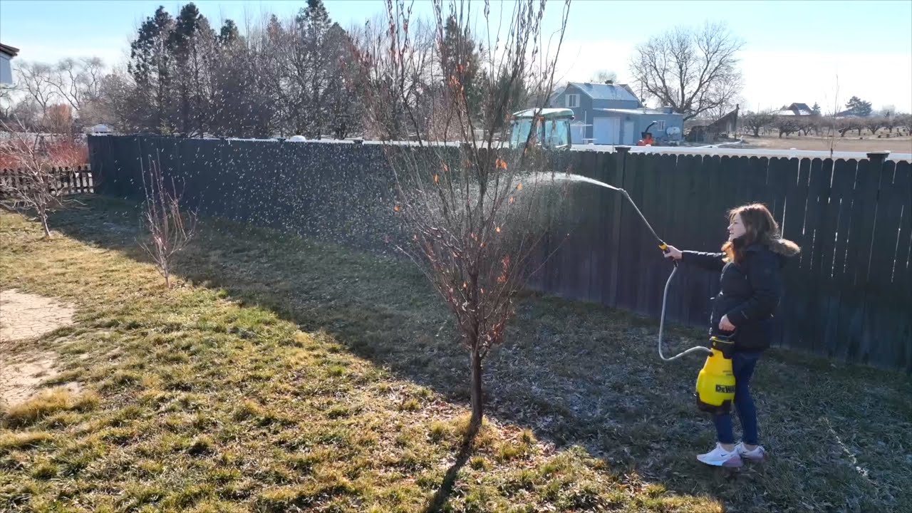 Spraying Fruit Trees & Potting Cacti! 🌳🌵🥰 // Garden Answer - YouTube