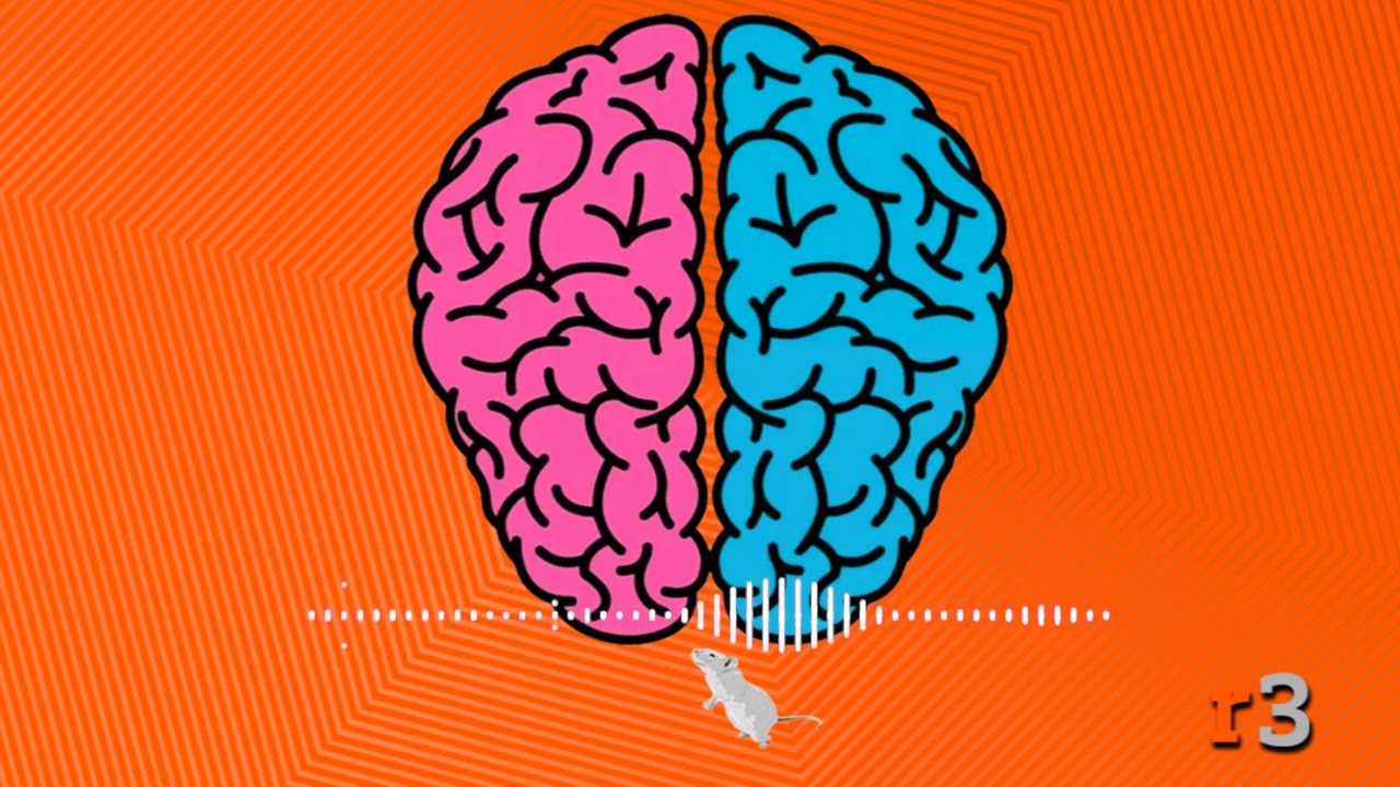 Ni rosa ni celeste | Una teoría que cuestiona el binarismo sexual y ...