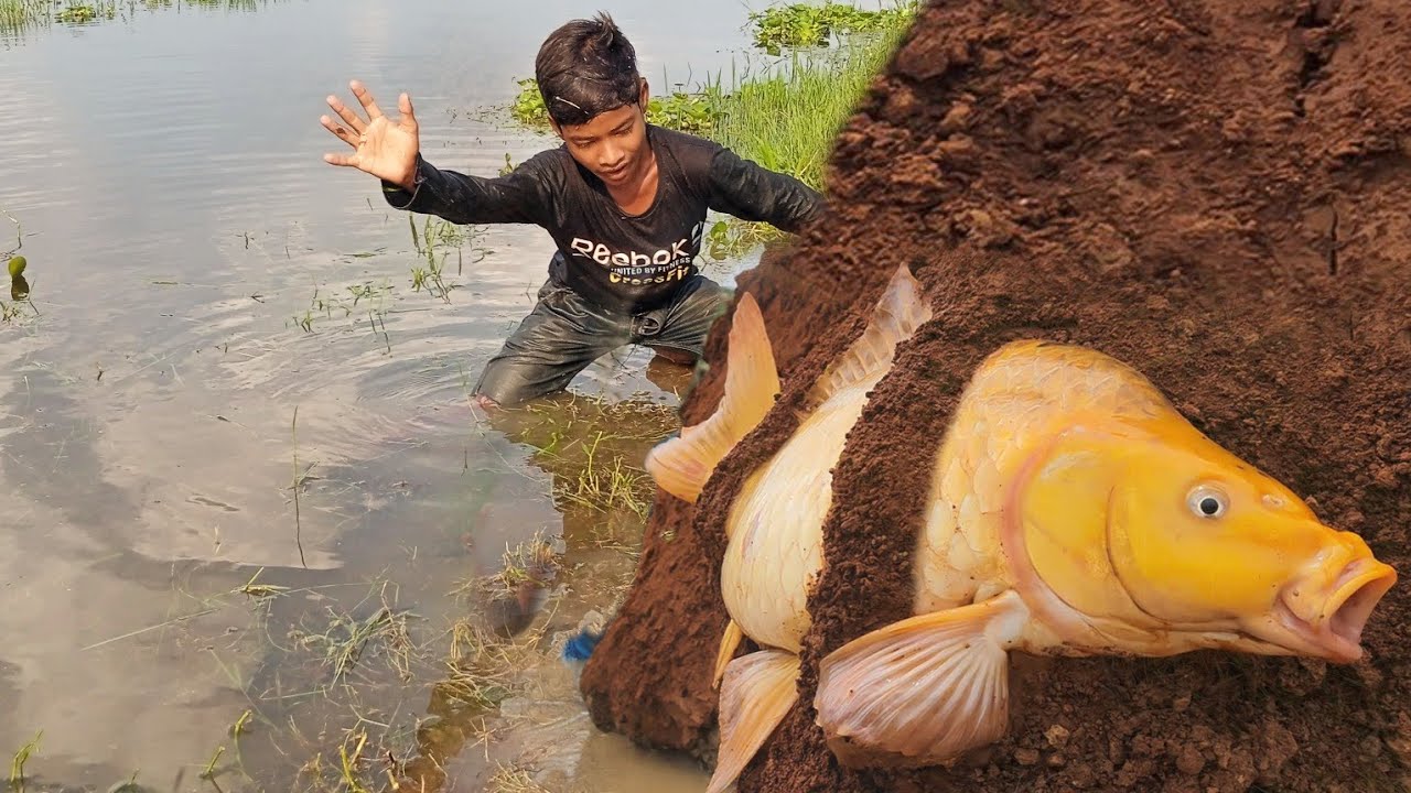 Amazing Daily Life Fishing Flowing Water River Dry Hill Underground Big ...