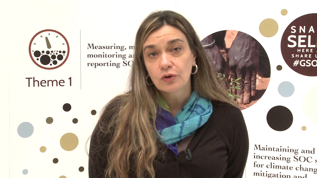 Interview with Carina Rosa Alvarez in the framework of GSOC17 ...