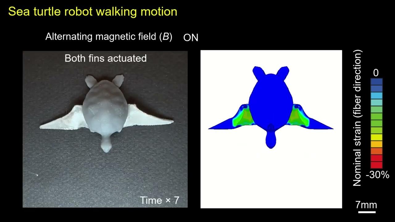 Robotic sea turtle with omnidirectional locomotion - YouTube