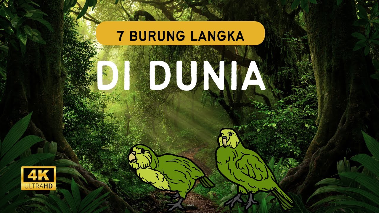 Eksplorasi Keanekaragaman Burung: 7 Jenis Burung Langka yang Wajib ...