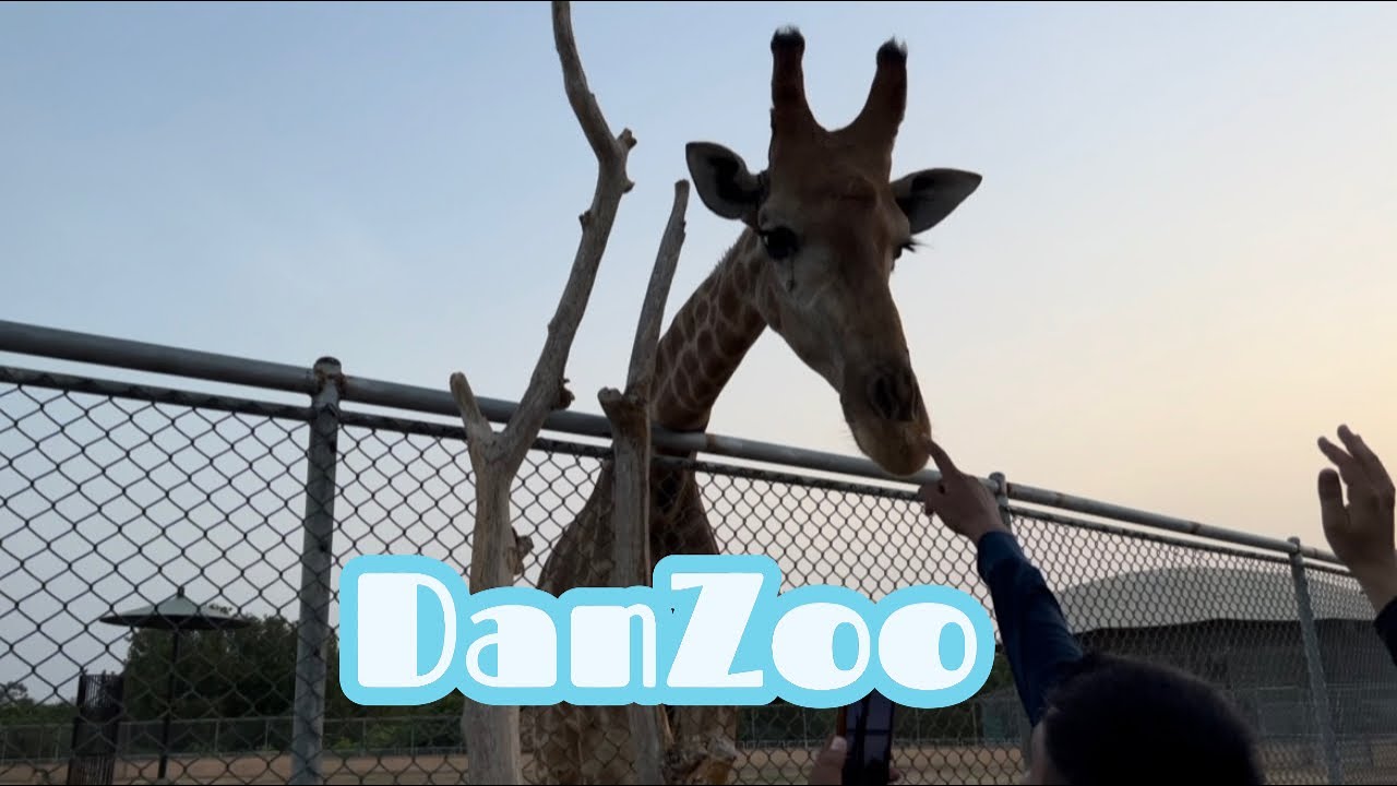 DanZoo (Day & Night) | Bharia town karachi | sindh pakistan - YouTube