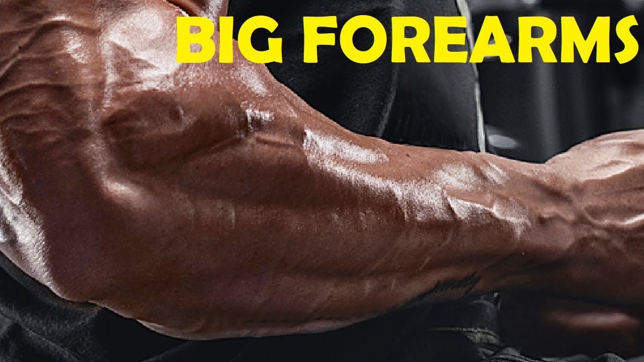 how to get big forearms best exercises - YouTube