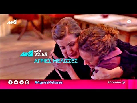 ΑΓΡΙΕΣ ΜΕΛΙΣΣΕΣ - ΕΠΕΙΣΟΔΙΟ 85 (5/3/2020) TRAILER - YouTube