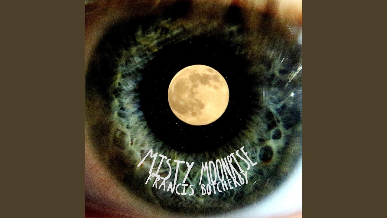 Parliament of Wolves - YouTube