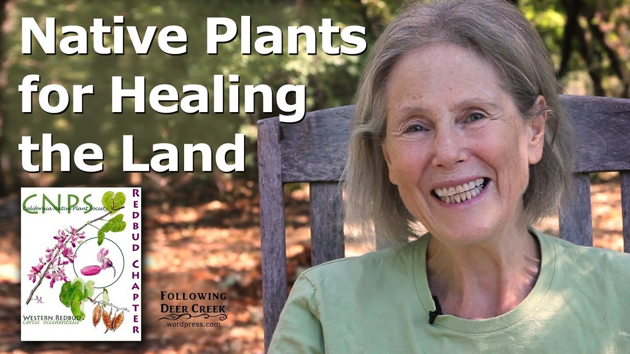 Native Plants for Healing the Land - YouTube