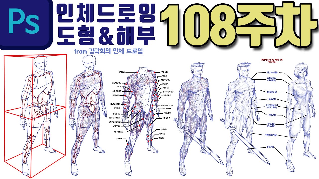 (108)[Shape N Anatome Drawing] 이제는 결단을 내릴때 인것 같습니다... (108주차) - YouTube